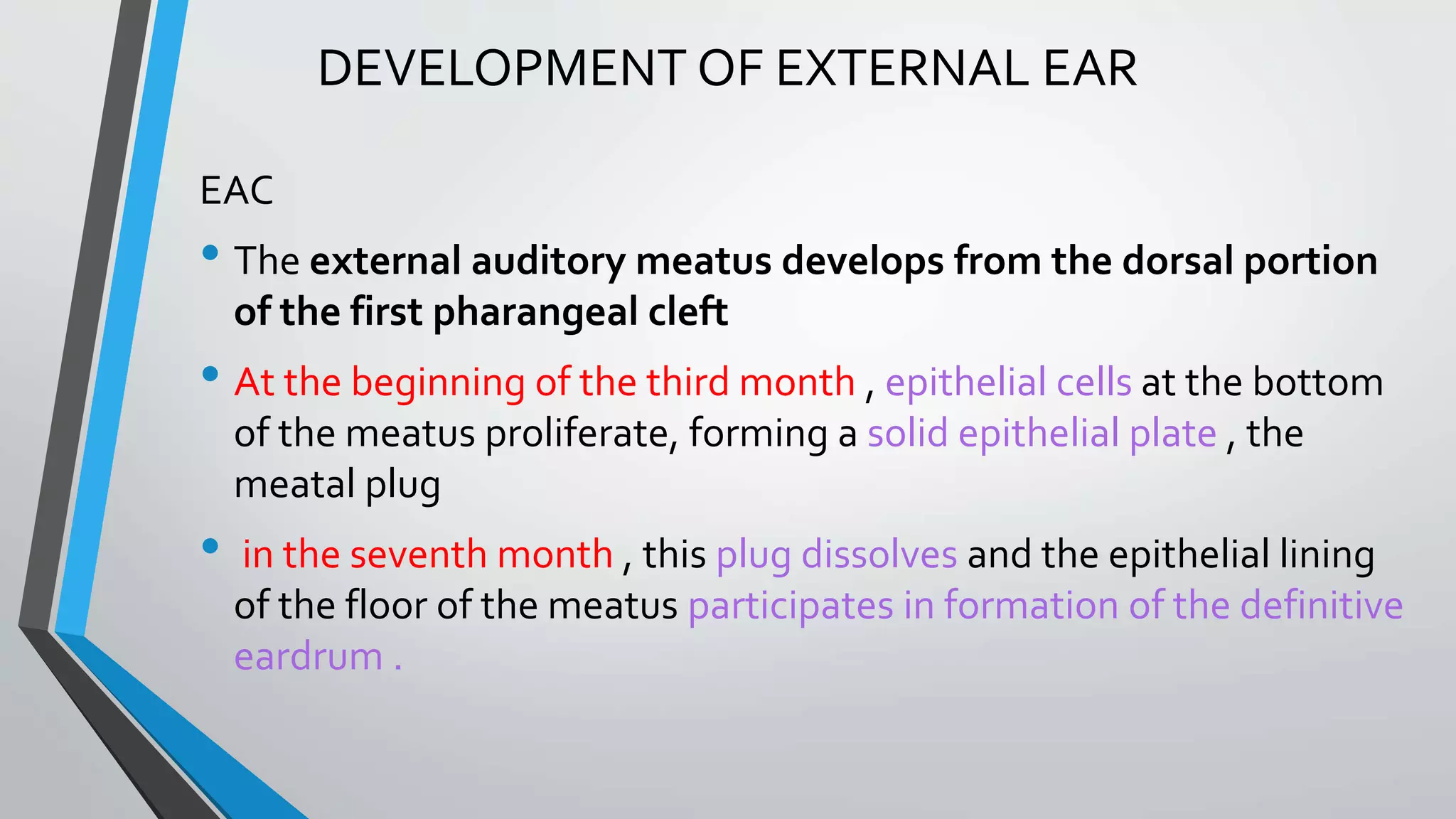 Diseases of External Ear.pptx