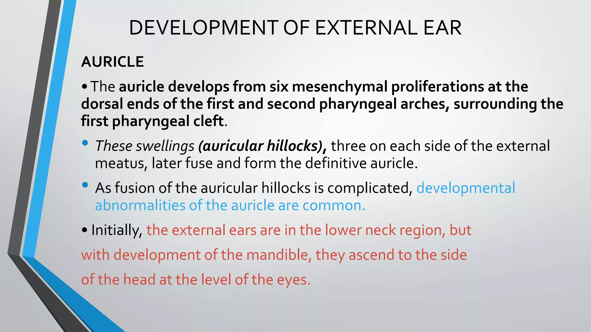 Diseases of External Ear.pptx