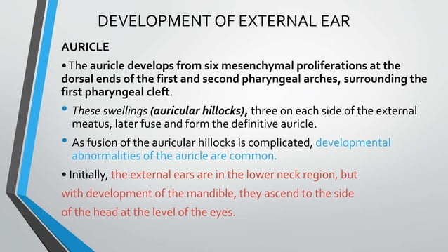 Diseases of External Ear.pptx | Ear, Nose and Throat Conditions ...