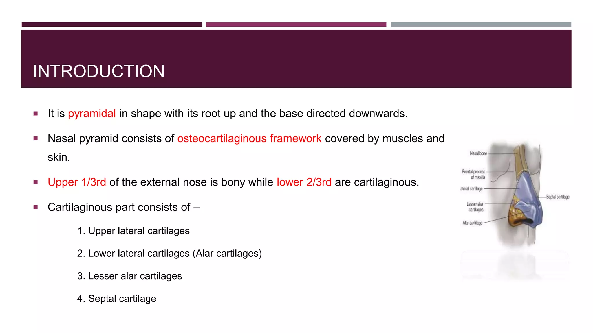 Diseases of external nose | PPTX