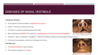 Diseases of external nose | PPTX