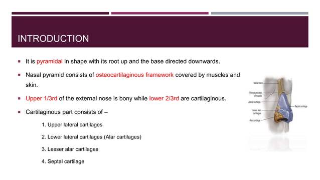 Diseases of external nose | PPT