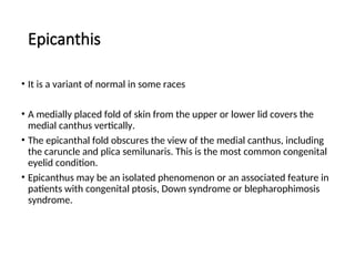 Diseases of eyelids.ppt . . . . . . . . | PPT