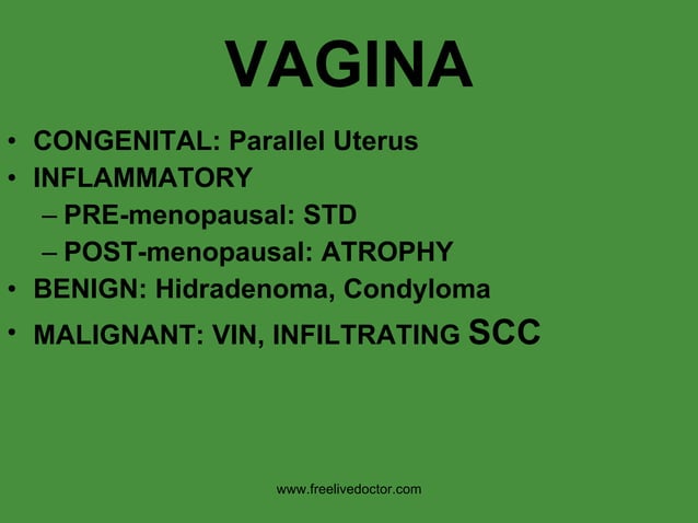Diseases of female genital system | PPT