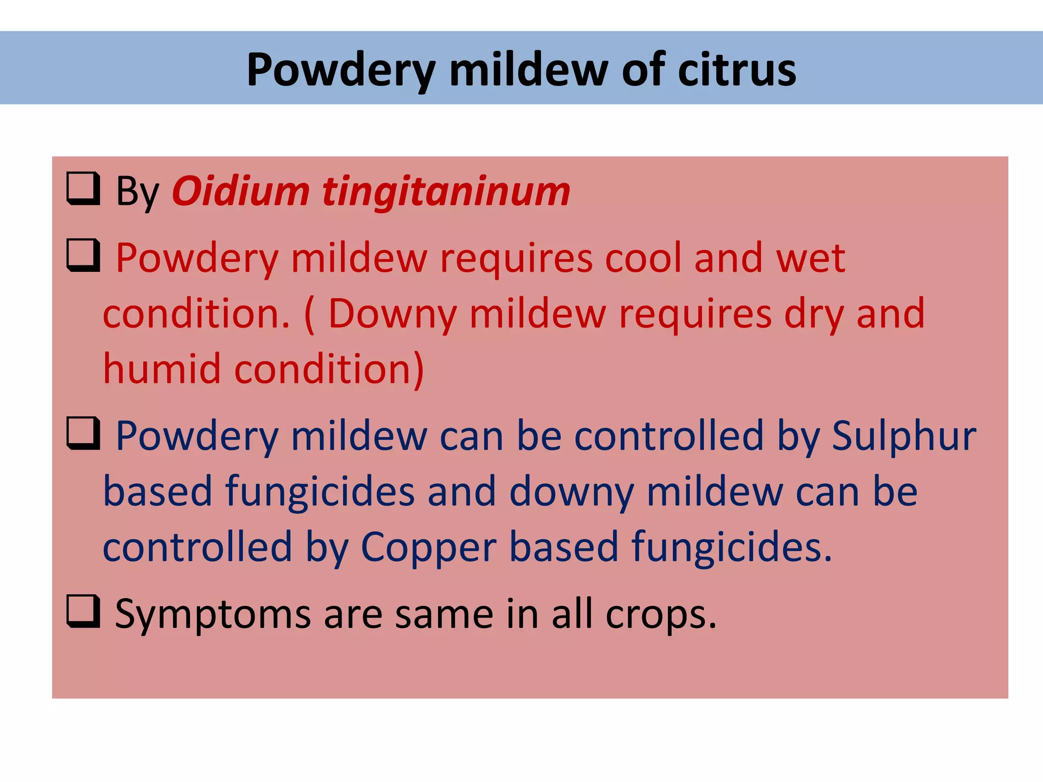 Diseases of field crops and etiology | PPTX