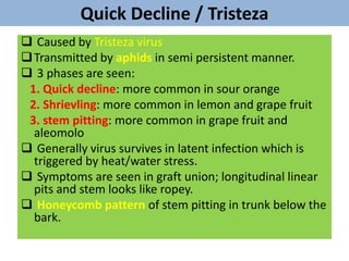 Diseases of field crops and etiology | PPTX