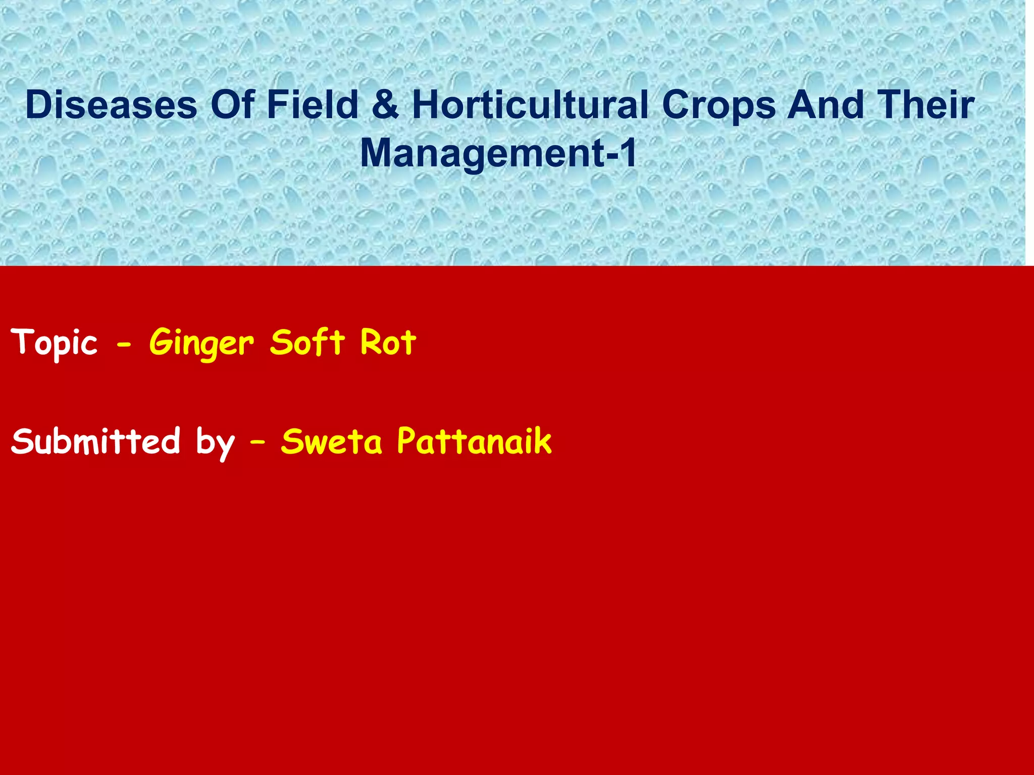 Ginger soft rot | PPTX