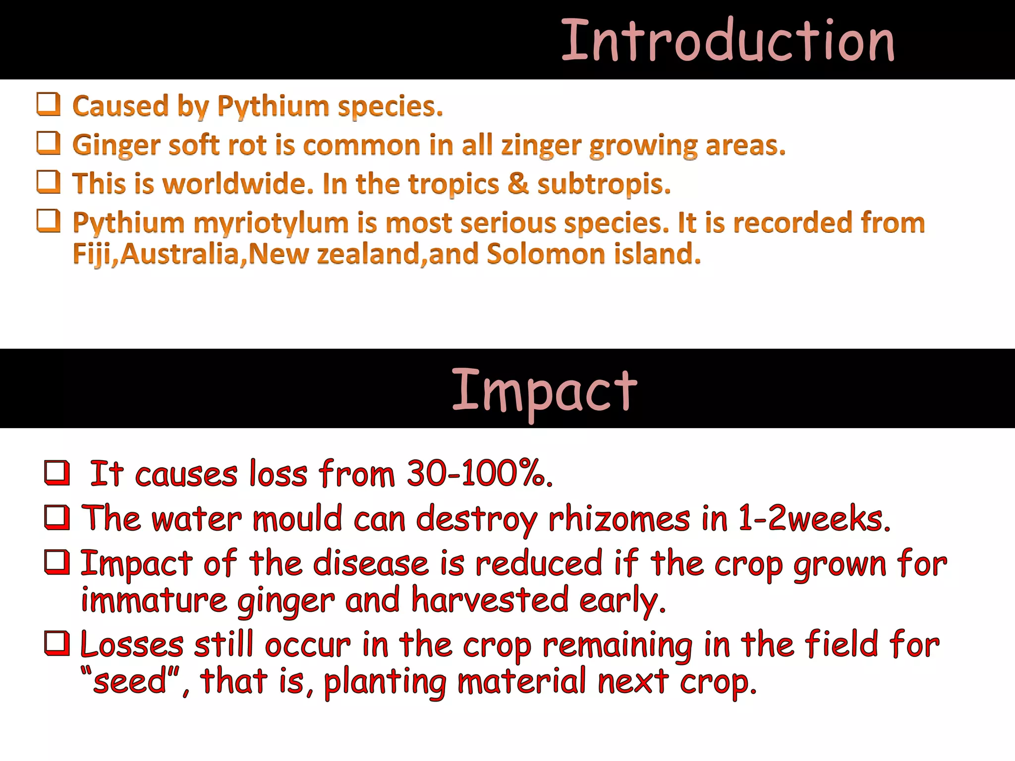 Ginger soft rot | PPTX