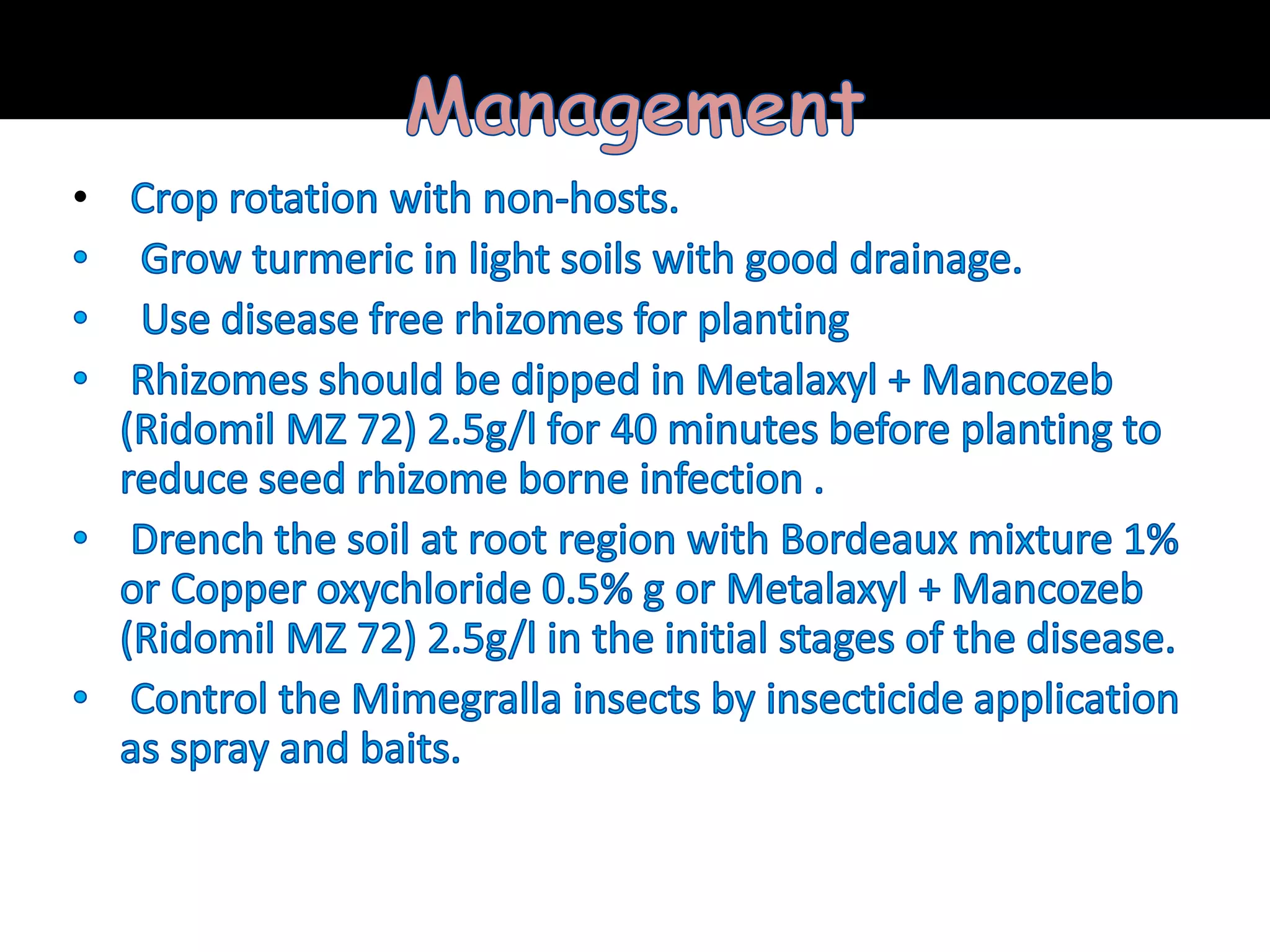 Ginger soft rot | PPTX