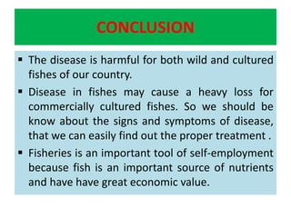 Diseases of fish | PPT