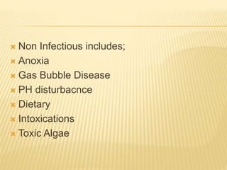 Diseases of fishe | PPTX