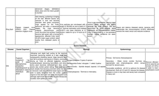 Diseases of Fruit and Plantation crops .pdf
