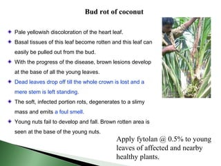 Diseases of fruit crops | PPT