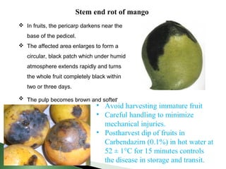 Diseases of fruit crops | PPT