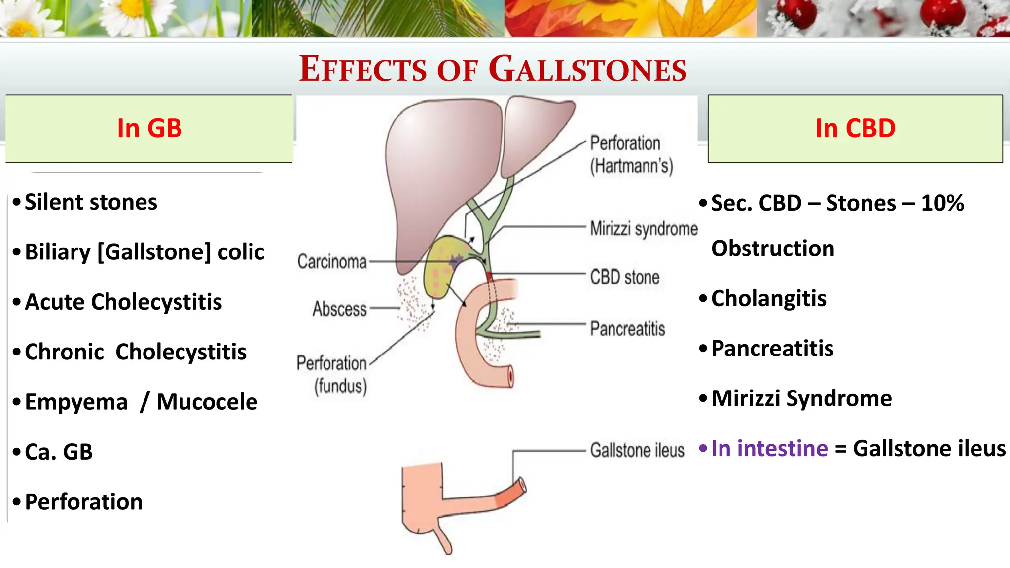 Diseases of Gallbladder - Acute Cholecystitis & Other Diseases of GB | PDF