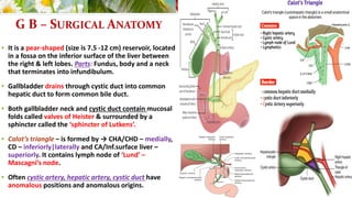 Diseases of Gallbladder - Acute Cholecystitis & Other Diseases of GB | PDF