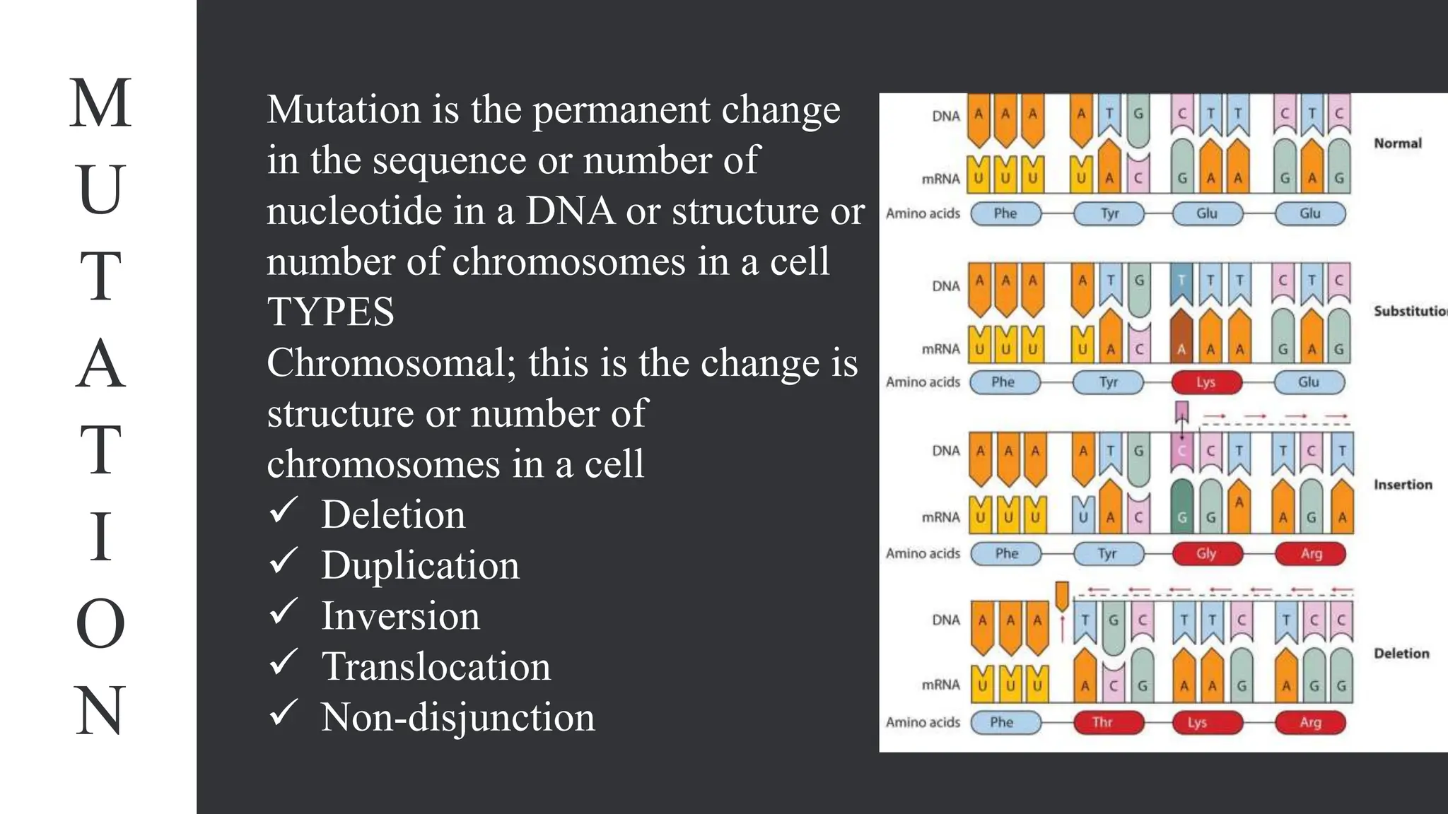 DISEASES OF GENETIC MUTATION, TREATMENTS(2).pptx