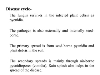 Diseases of Gram.pptx