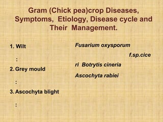 Diseases of Gram | PPTX