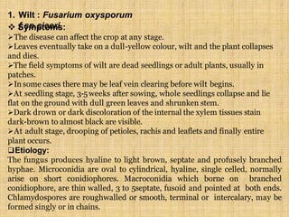Diseases of Gram | PPTX