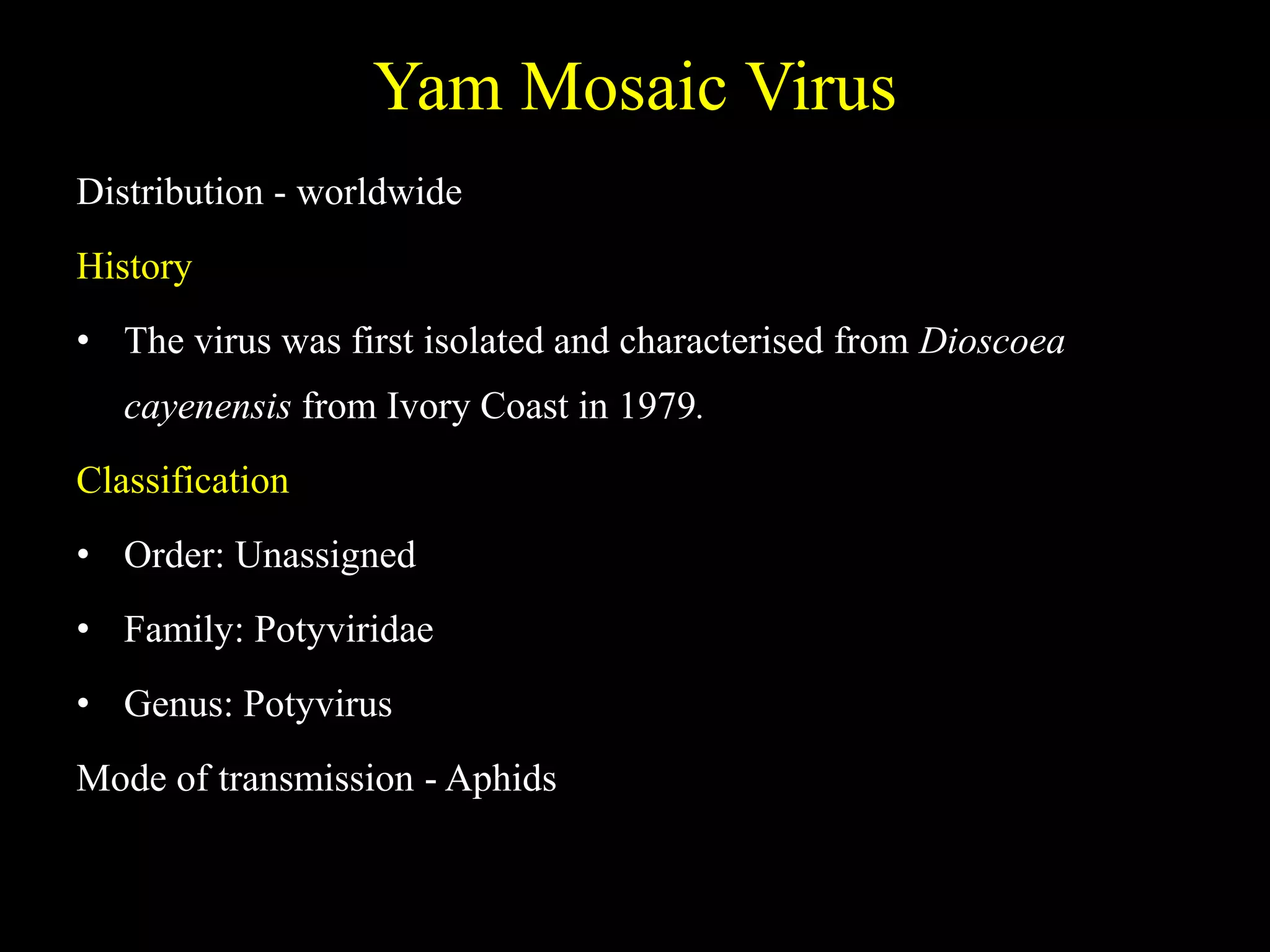 Diseases of greater yam | PPTX
