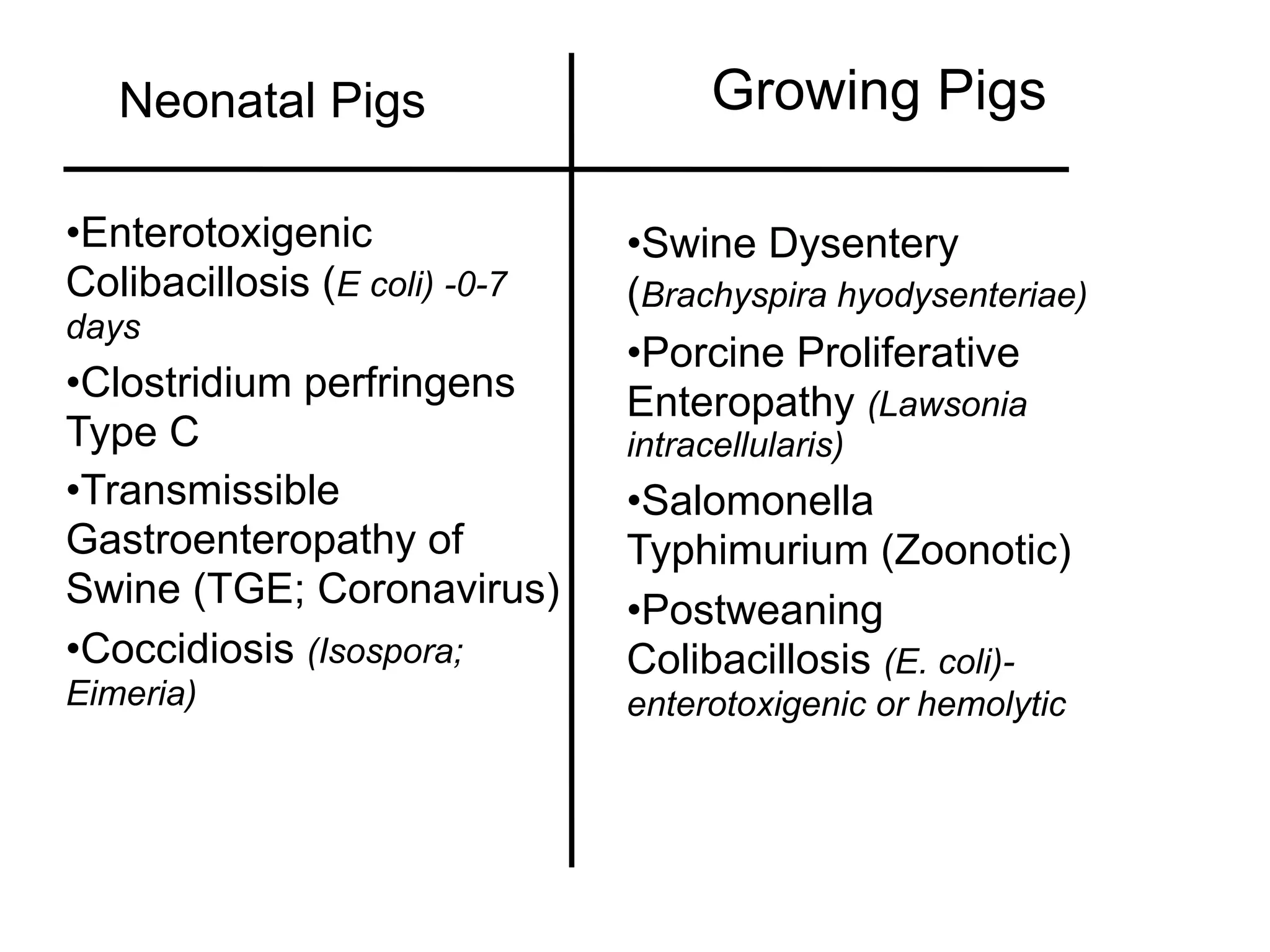 Diseases of growing pigs | KEY