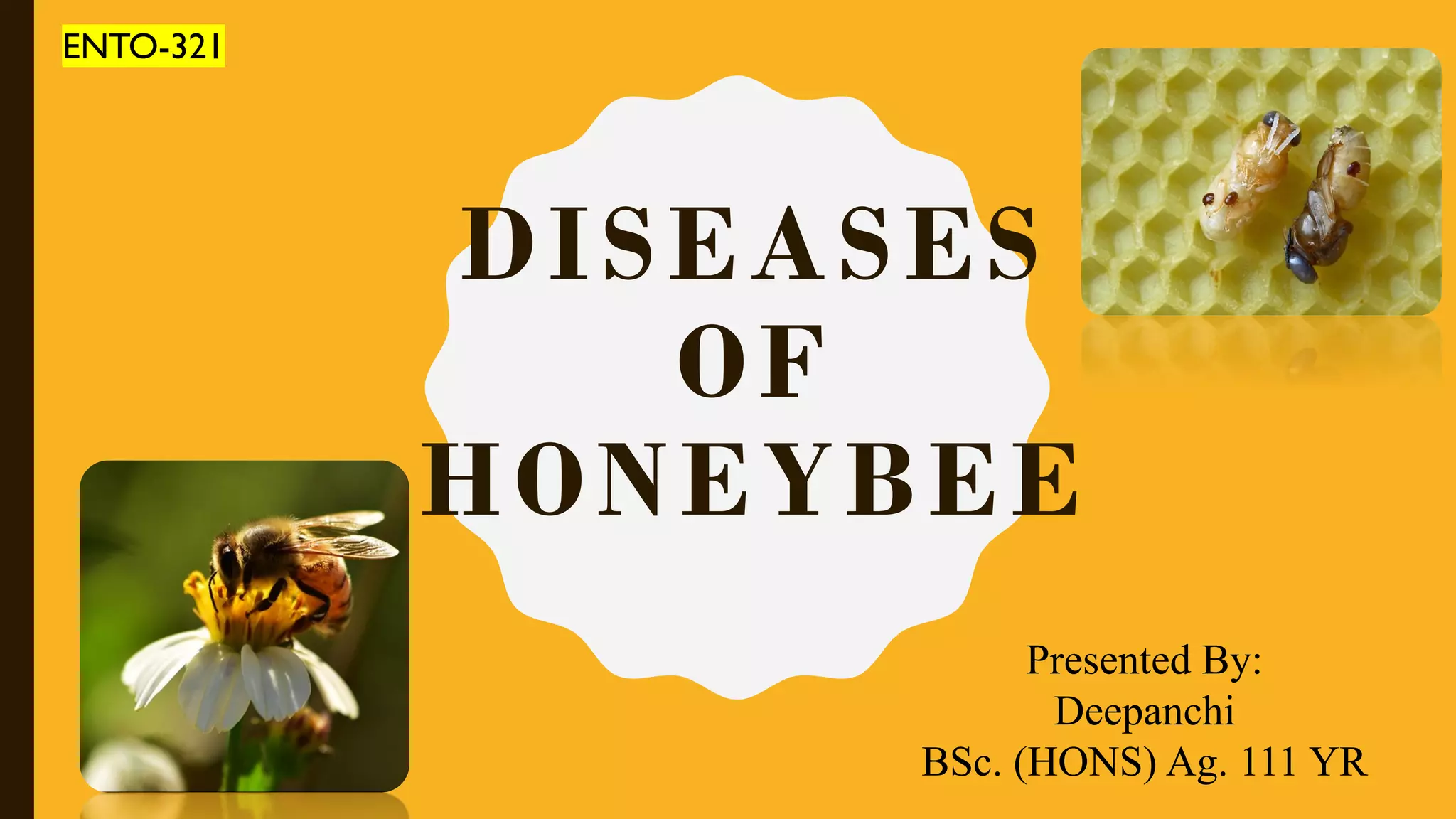 DISEASES OF HONEYBEE.pdf