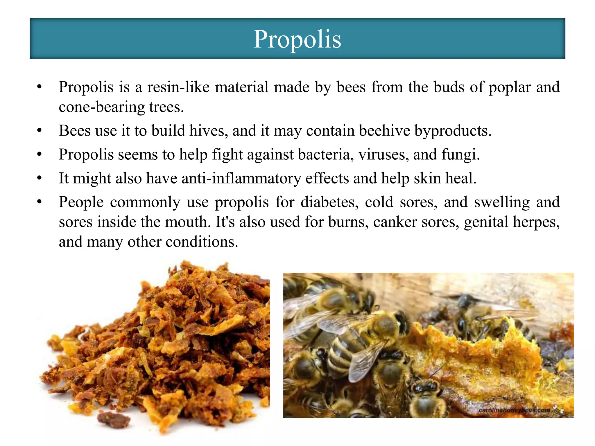 Diseases of Honey bee.pptx
