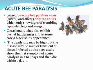 Diseases of honey bees ppt | PPTX