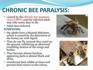 Diseases of honey bees ppt | PPTX