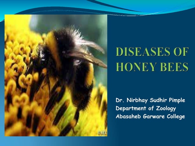 Diseases of honey bees | PPTX