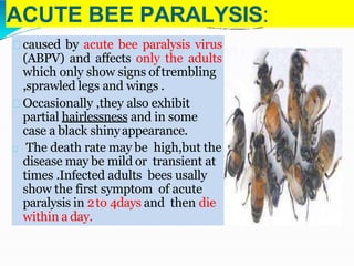Diseases of honey bees | PPTX