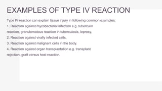 Diseases of immunity hypersensitivity | PPTX | Allergies | Diseases and ...