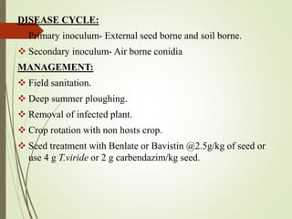 DISEASES OF ISABGOL PPT.pptx