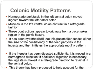 Diseases of large intestine in animals | PPTX