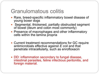 Diseases of large intestine in animals | PPTX