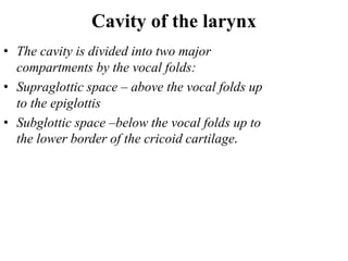 Diseases of Larynx.pptx