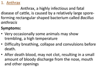 Diseases of livestock and poultry | PPTX