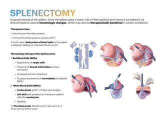 Diseases of Lymph node & Spleen - Pathology | PDF