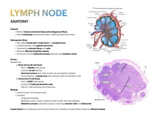 Diseases of Lymph node & Spleen - Pathology | PDF