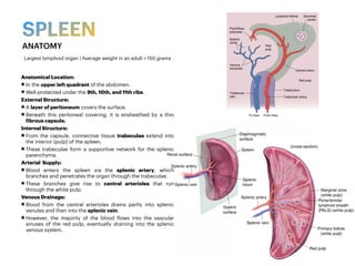Diseases of Lymph node & Spleen - Pathology | PDF