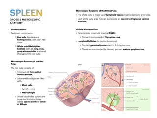 Diseases of Lymph node & Spleen - Pathology | PDF