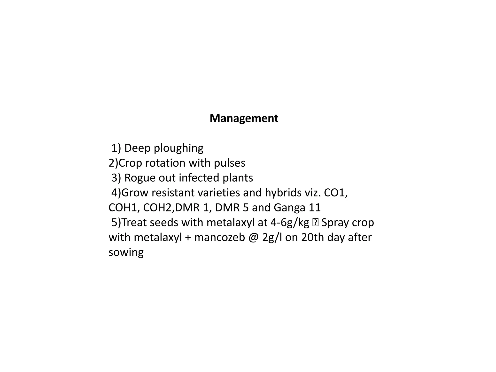 Diseases of Maize ppt.pptx