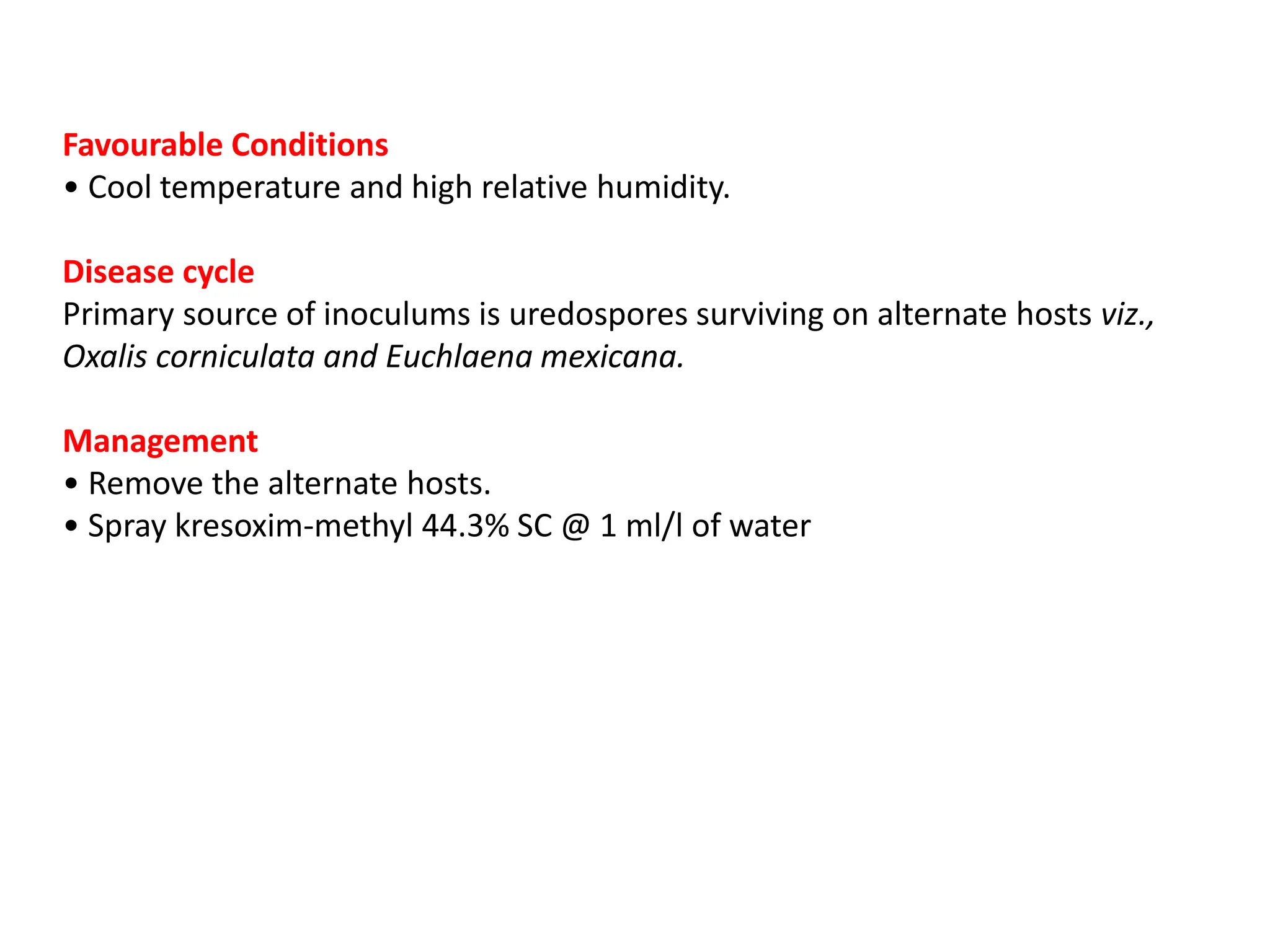 Diseases of maize, sorghum and pearl millet.ppt