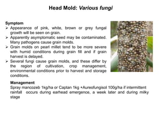Diseases of maize, sorghum and pearl millet.ppt