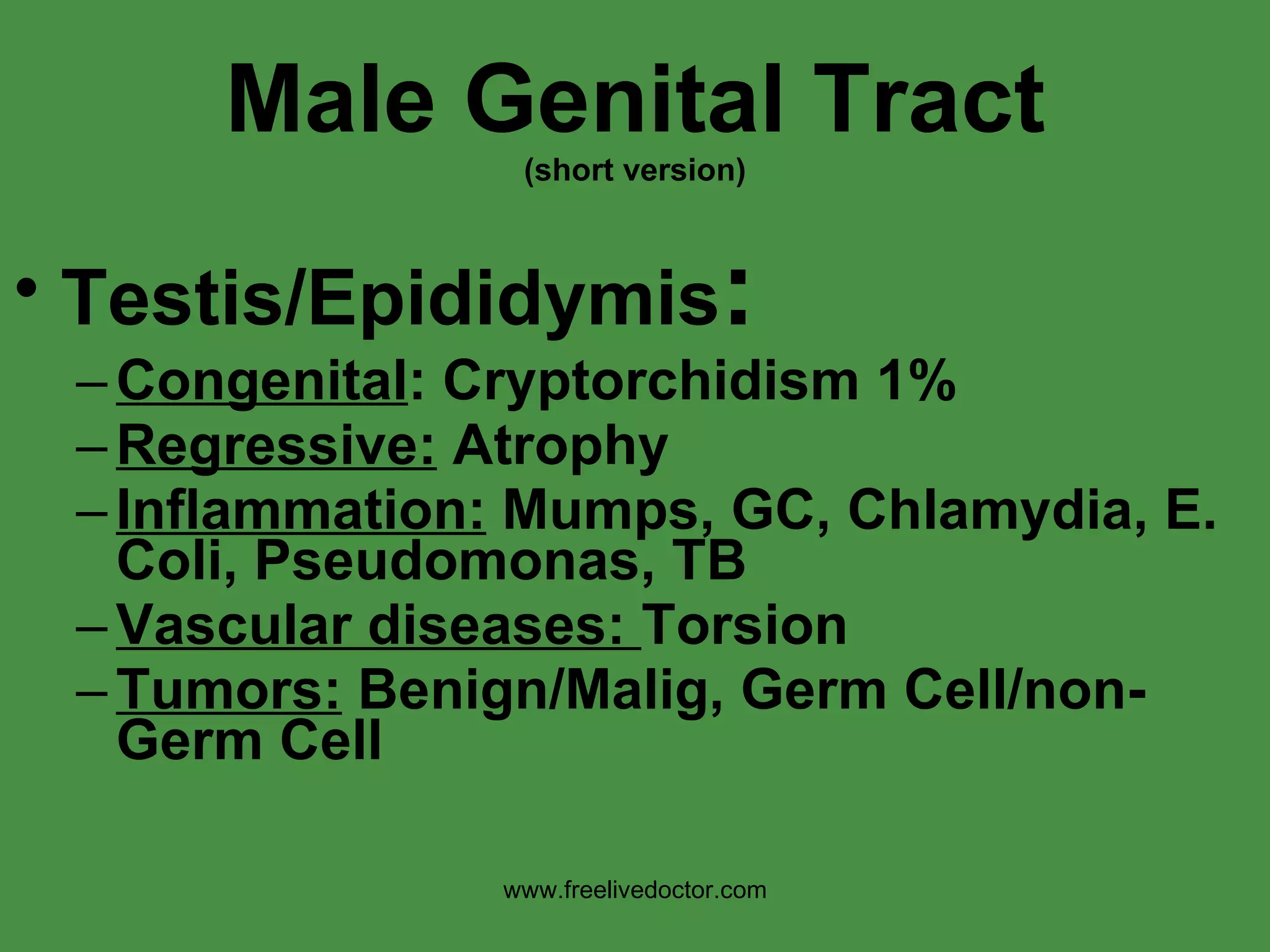 Diseases of male genital system | PPT
