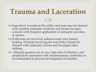 Diseases of Mammry gland/udder. | PPTX