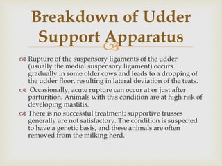 Diseases of Mammry gland/udder. | PPTX