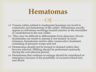 Diseases of Mammry gland/udder. | PPTX