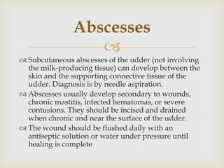 Diseases of Mammry gland/udder. | PPTX